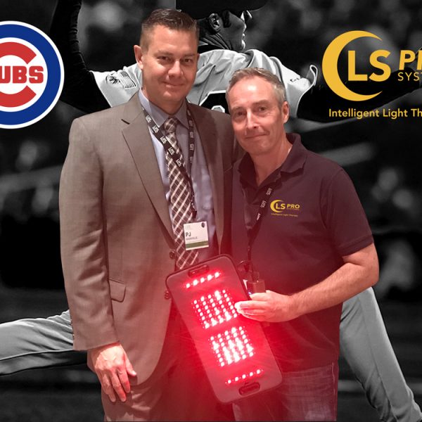 The Wellness Tree | Supporting Health, Performance and Wellbeing