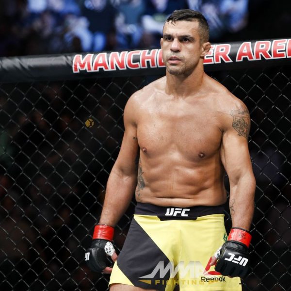 The Wellness Tree | Supporting Health, Performance and Wellbeing